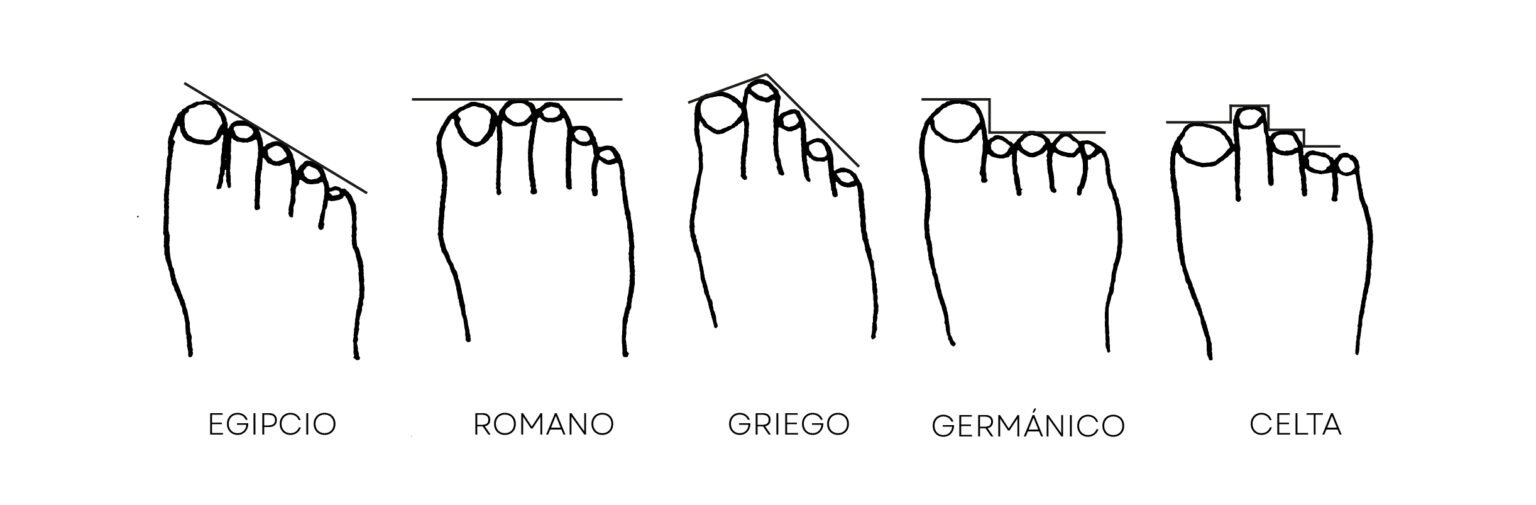 Cómo medir el pie de un niño | BarefootKids